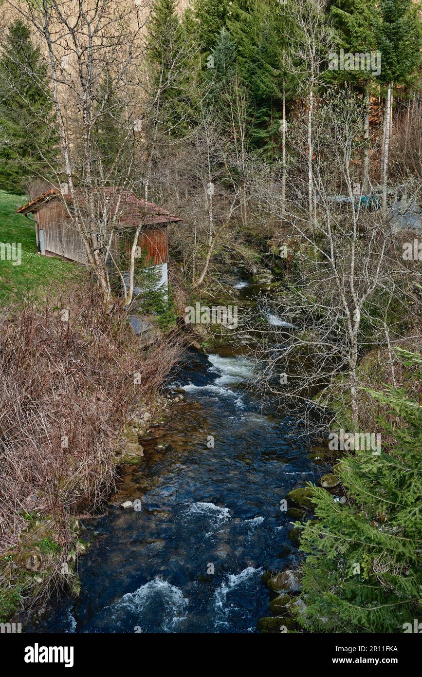 A bright blue river flowing through a forest as the sun begins to set ...