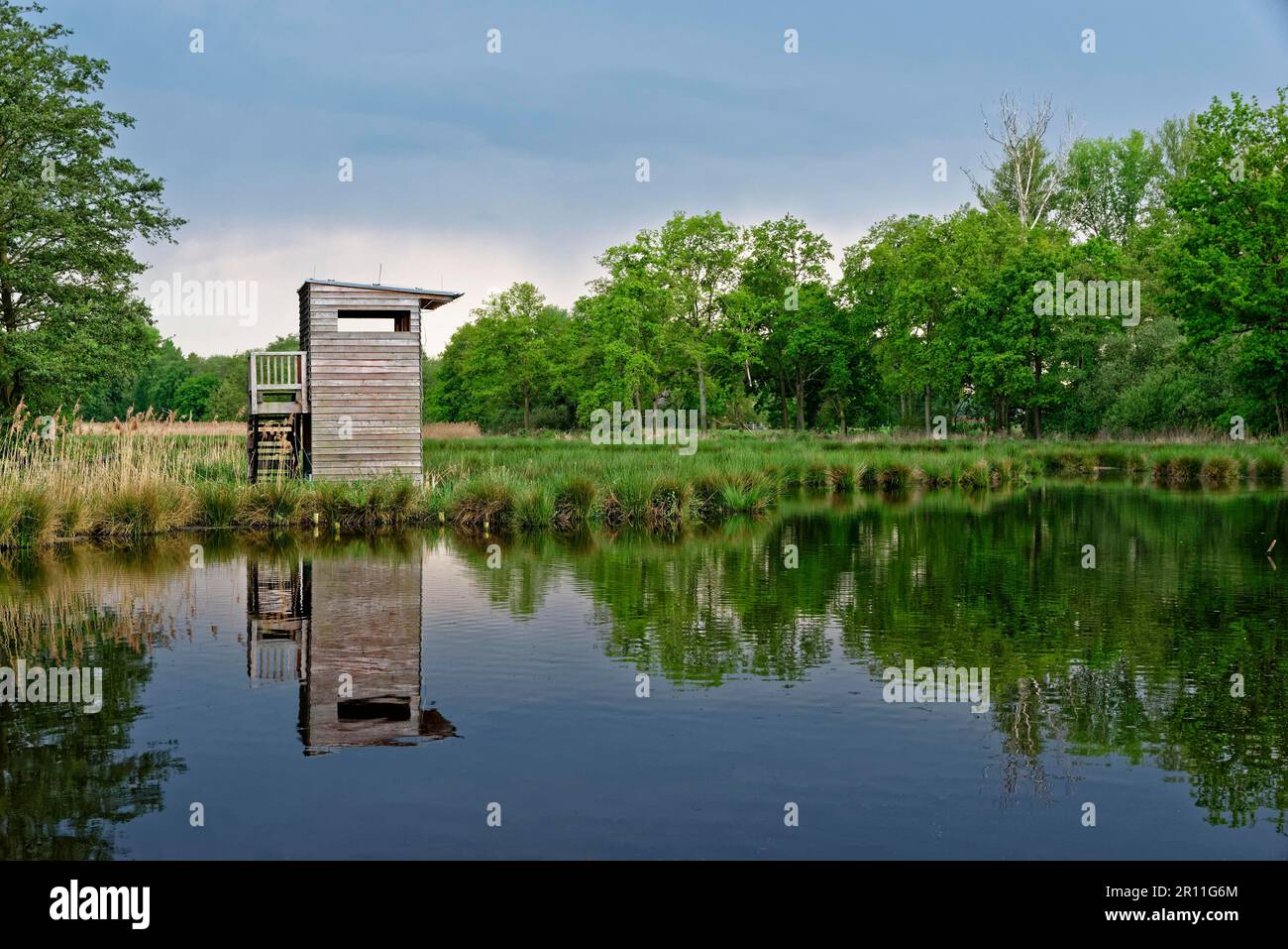 Birdwatching, Birdwatching Tower, Observation Tower, De-Witt-See ...