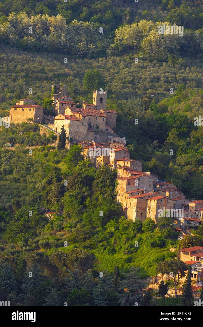 View collodi hi-res stock photography and images - Alamy