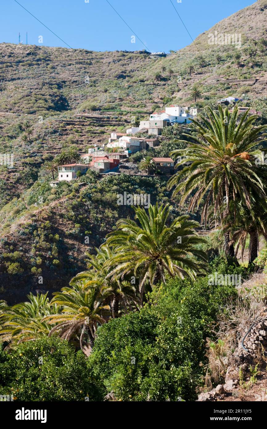Village on mountainside of Masca Valley, Masca Gorge, Tenerife, Spain ...