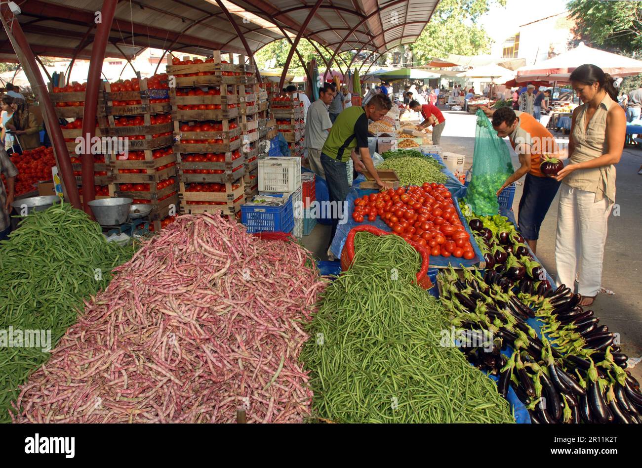Vegetable turkey hi-res stock photography and images - Alamy
