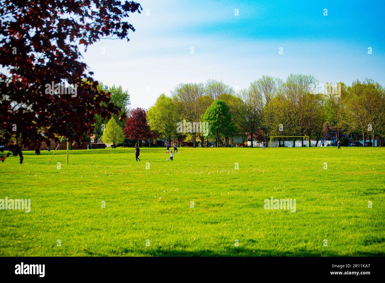 Beautiful multi-colored trees on a trail path and play park Stock Photo ...