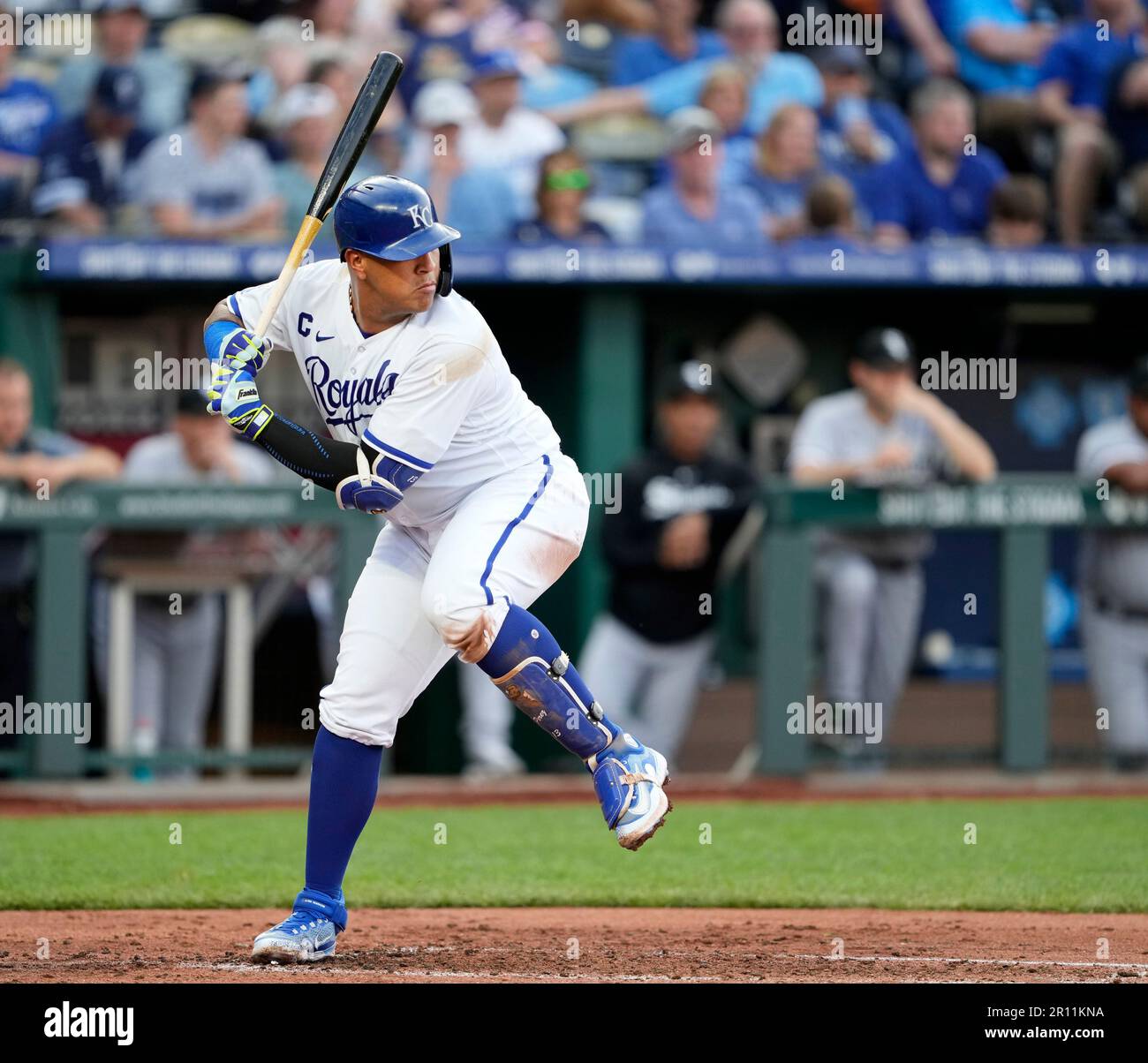 Royals Pitchers And Catchers Report 2023 at Gene Courtney blog