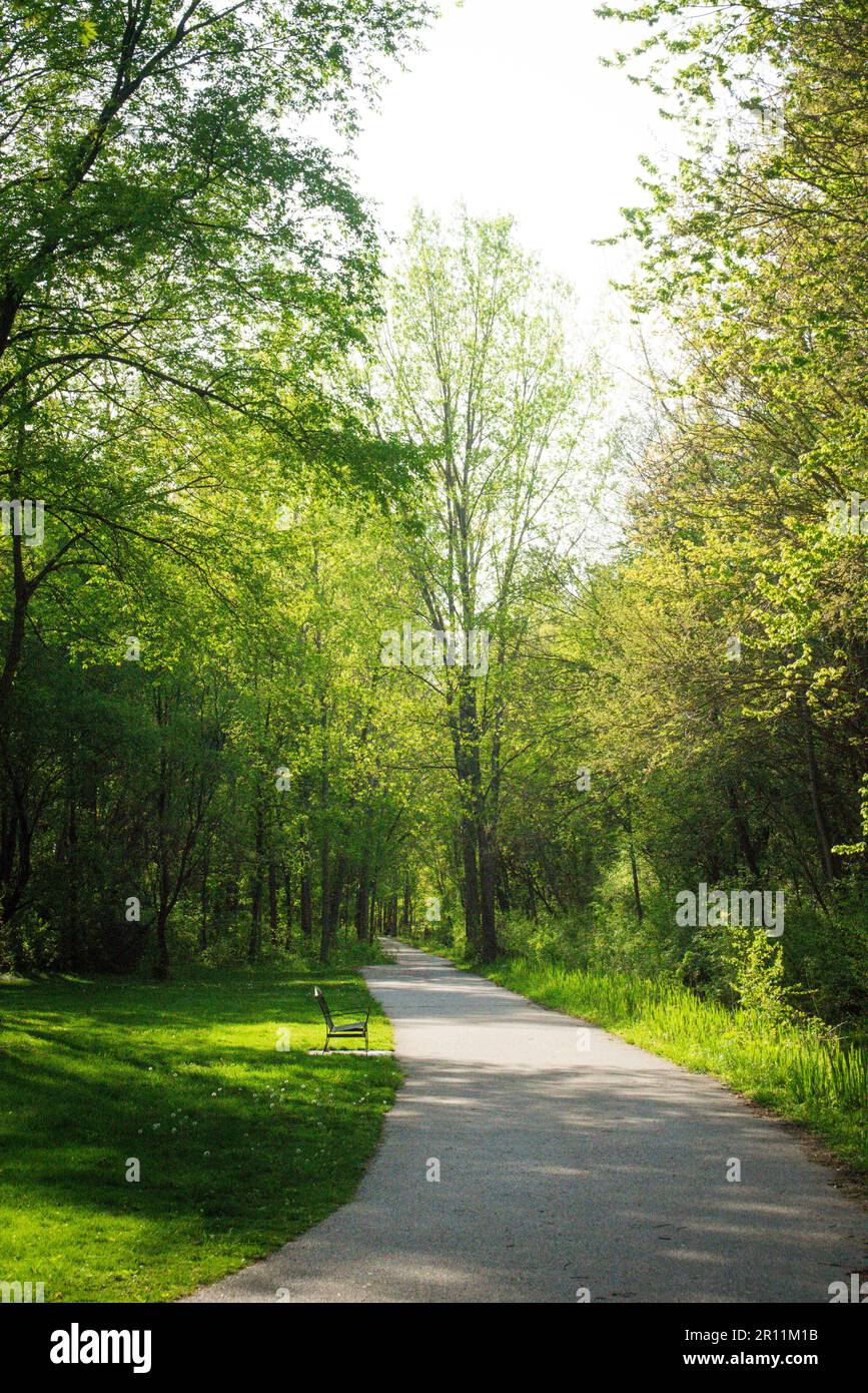 Beautiful multi-colored trees on a trail path and play park Stock Photo ...