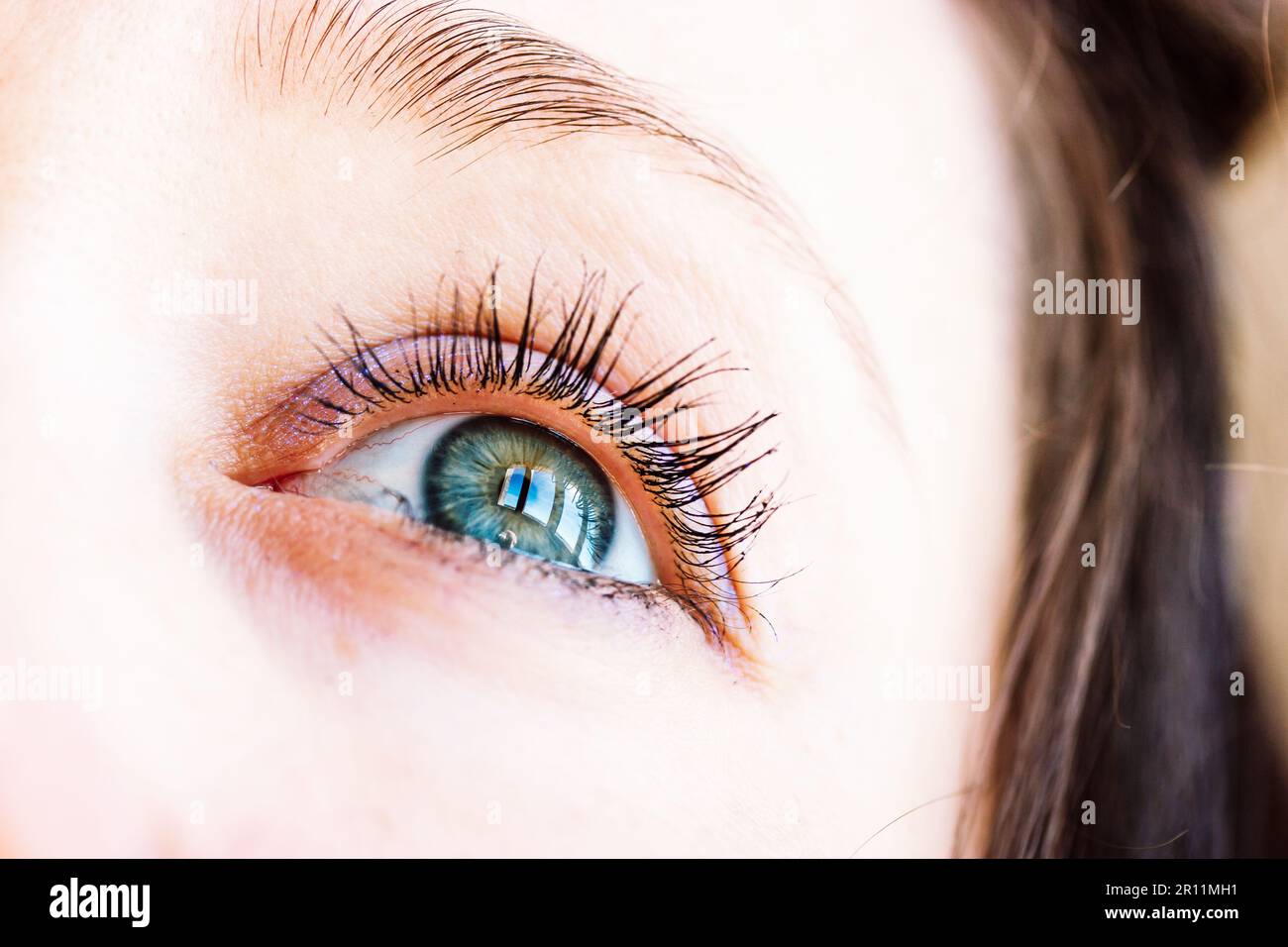 Beautiful gray-blue eyes with long lashes. Young woman, a girl is ...
