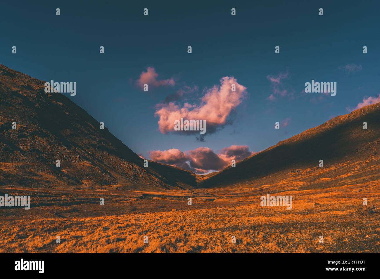 An idyllic rural landscape with an expansive field of golden orange ...