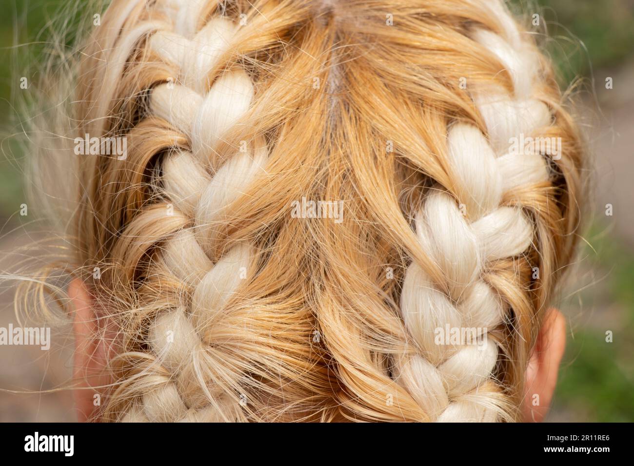 braided spikelet on the head of a young blonde girl closeup Stock Photo ...