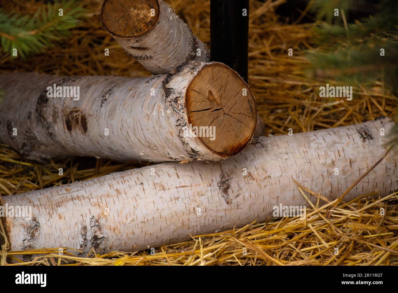 Birch timber hi-res stock photography and images - Alamy