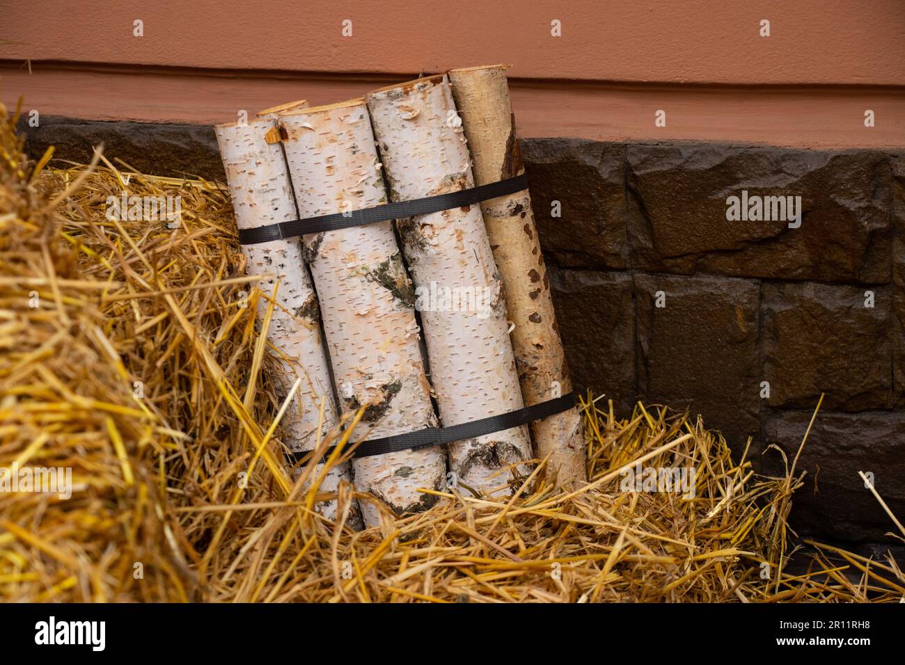 Birch timber hi-res stock photography and images - Alamy