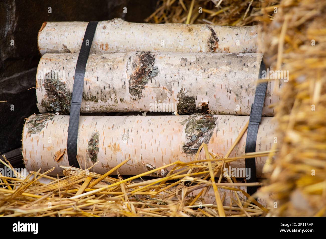 birch logs on dry hay on the street Stock Photo - Alamy