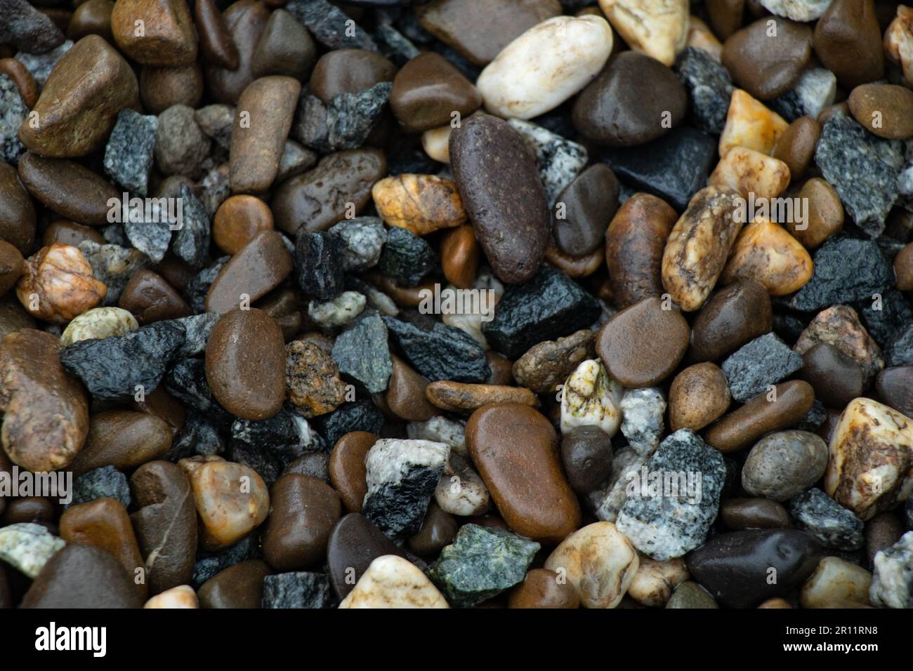 pebble stone background close up Stock Photo - Alamy