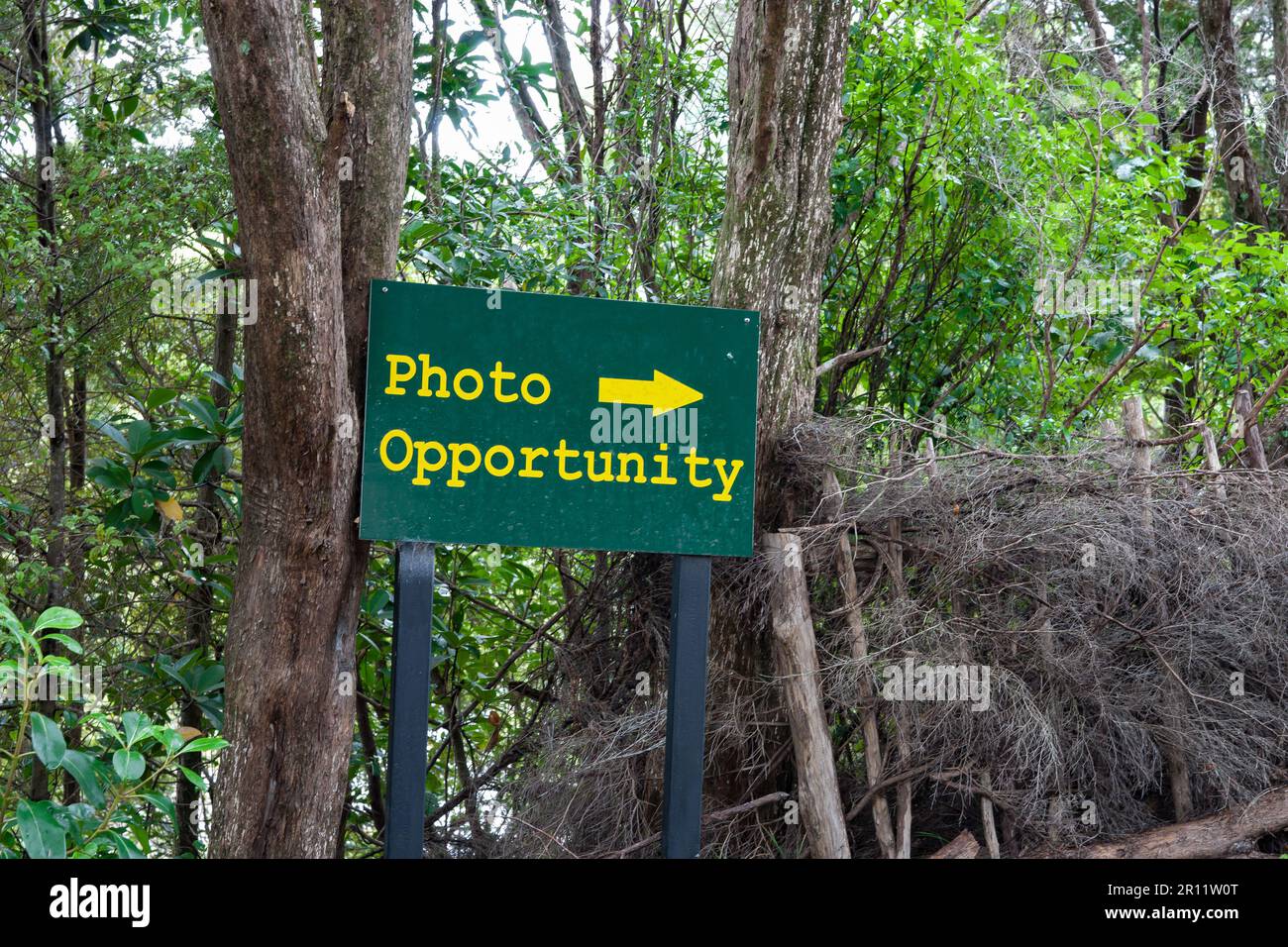 Photo opportunity direction sign in yellow text on green background on ...