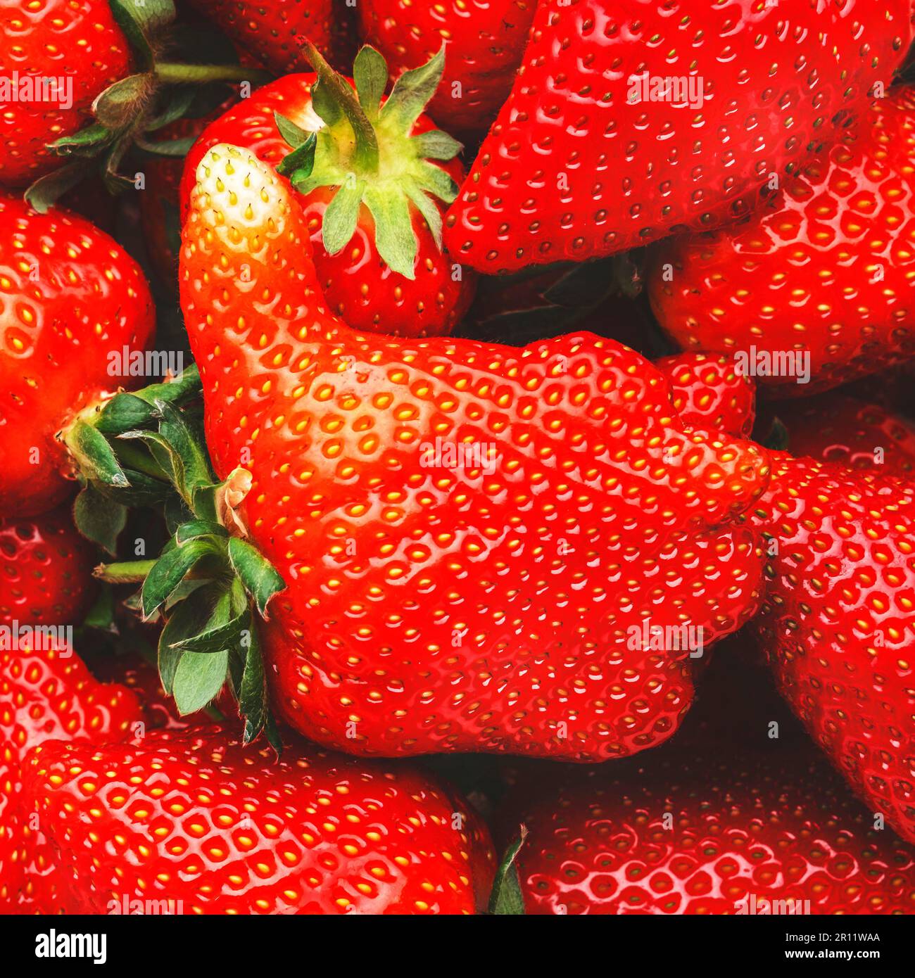 Unusual strawberry in the shape of hand with thumb up similar the like ...