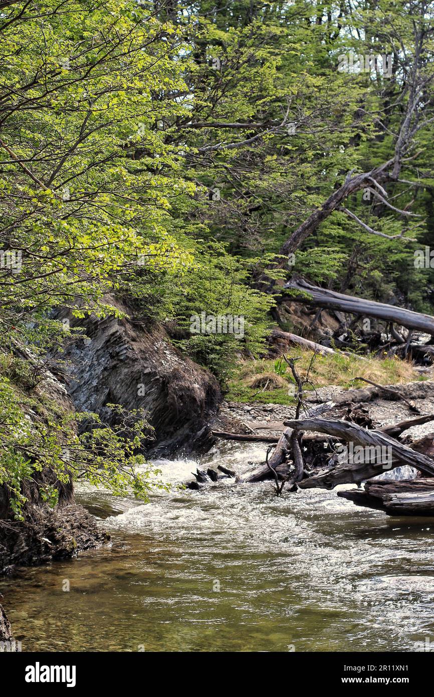 A tranquil landscape with a river winding its way through a dense ...