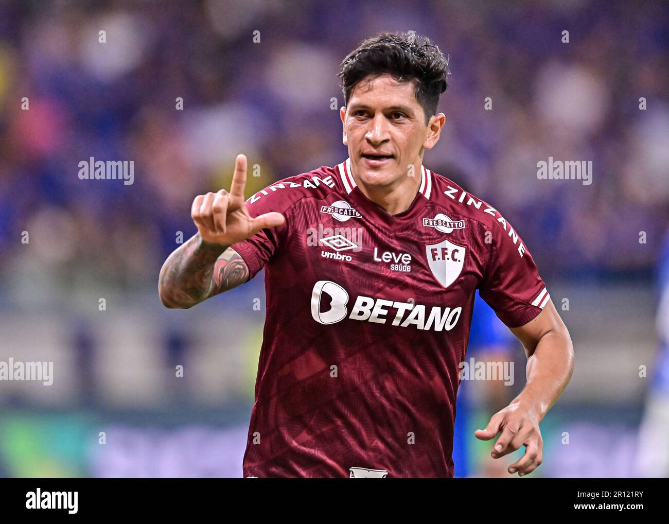 German cano fluminense hi-res stock photography and images - Alamy