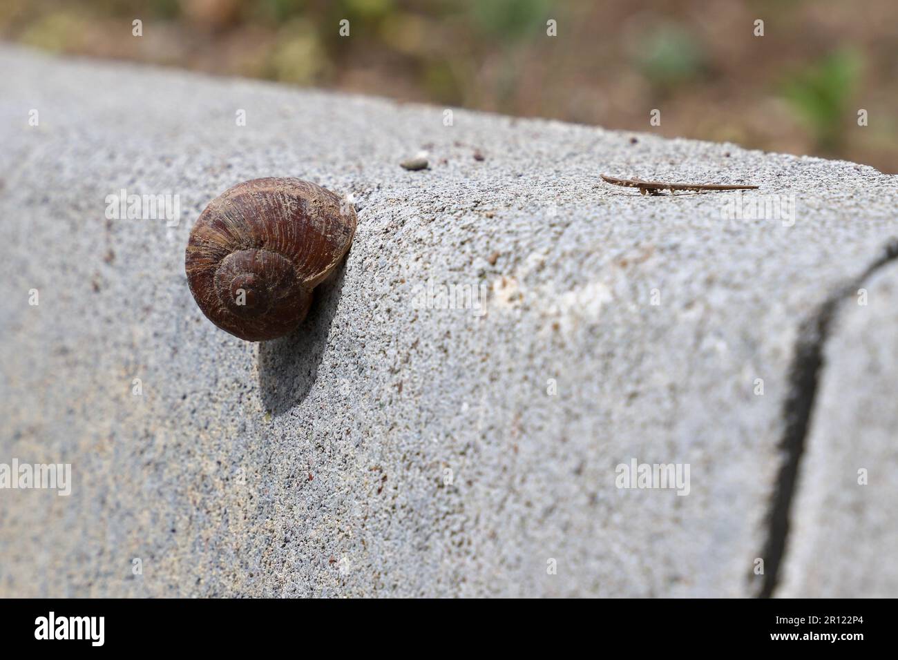 Visible mold hi-res stock photography and images - Alamy