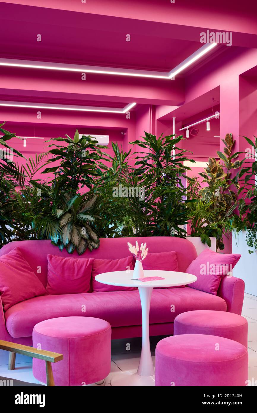 Modern pink interior with lots of plants Stock Photo - Alamy