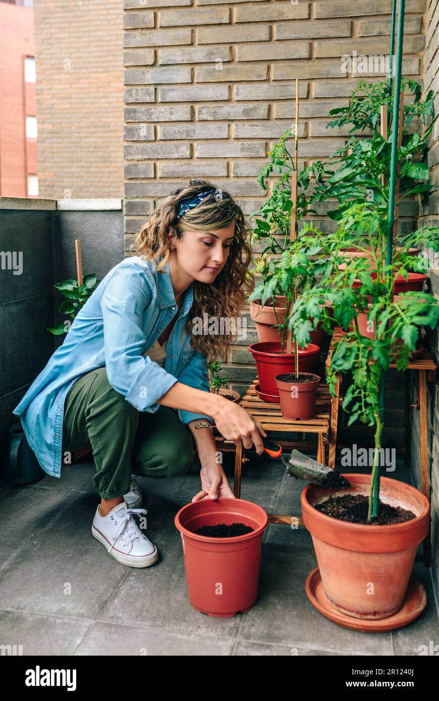 Woman using shovel to fill with soil a pot of plant in urban garden on ...