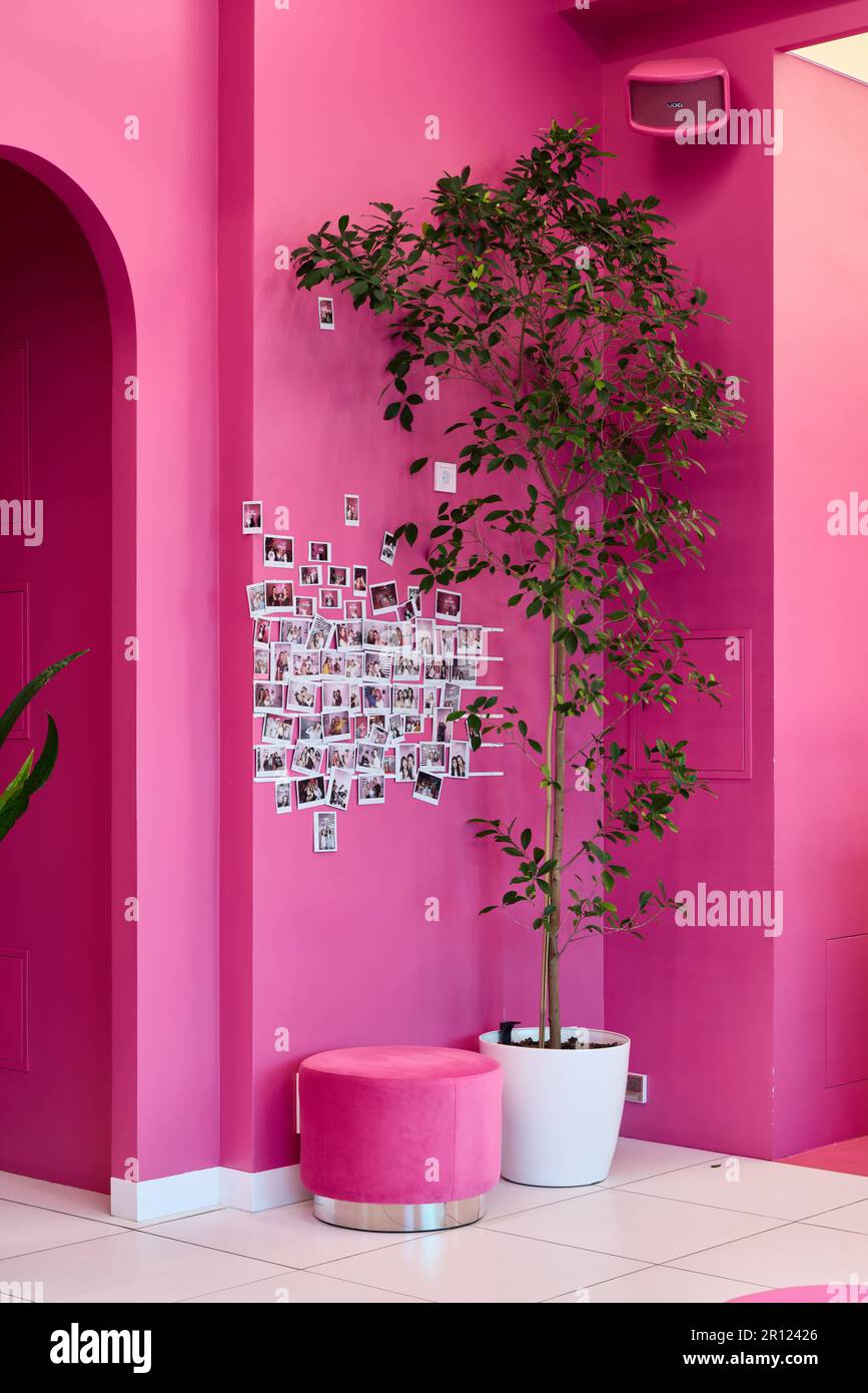Modern pink interior with lots of plants Stock Photo - Alamy