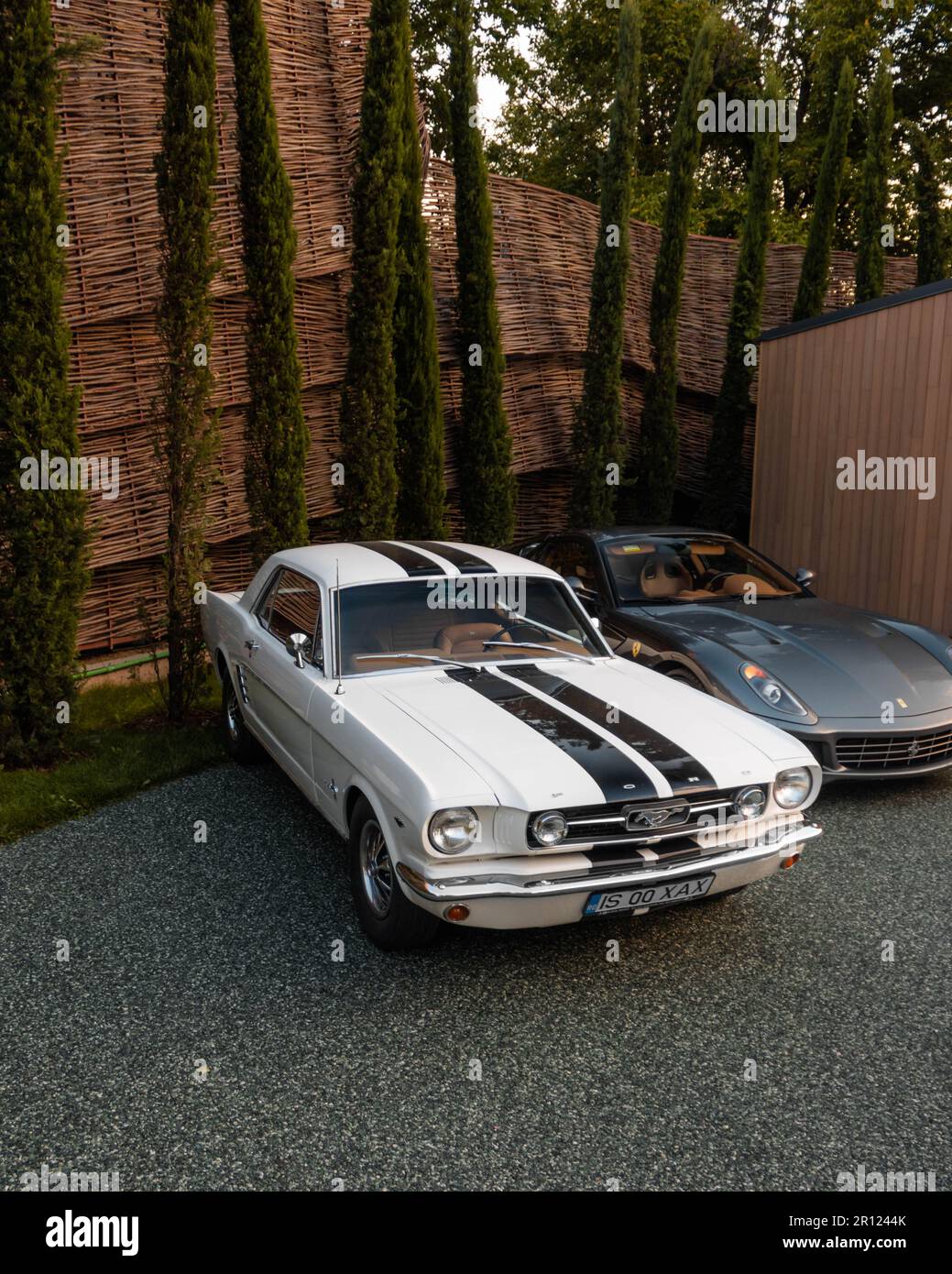 Two classic muscle cars parked side by side, one with a white body and ...
