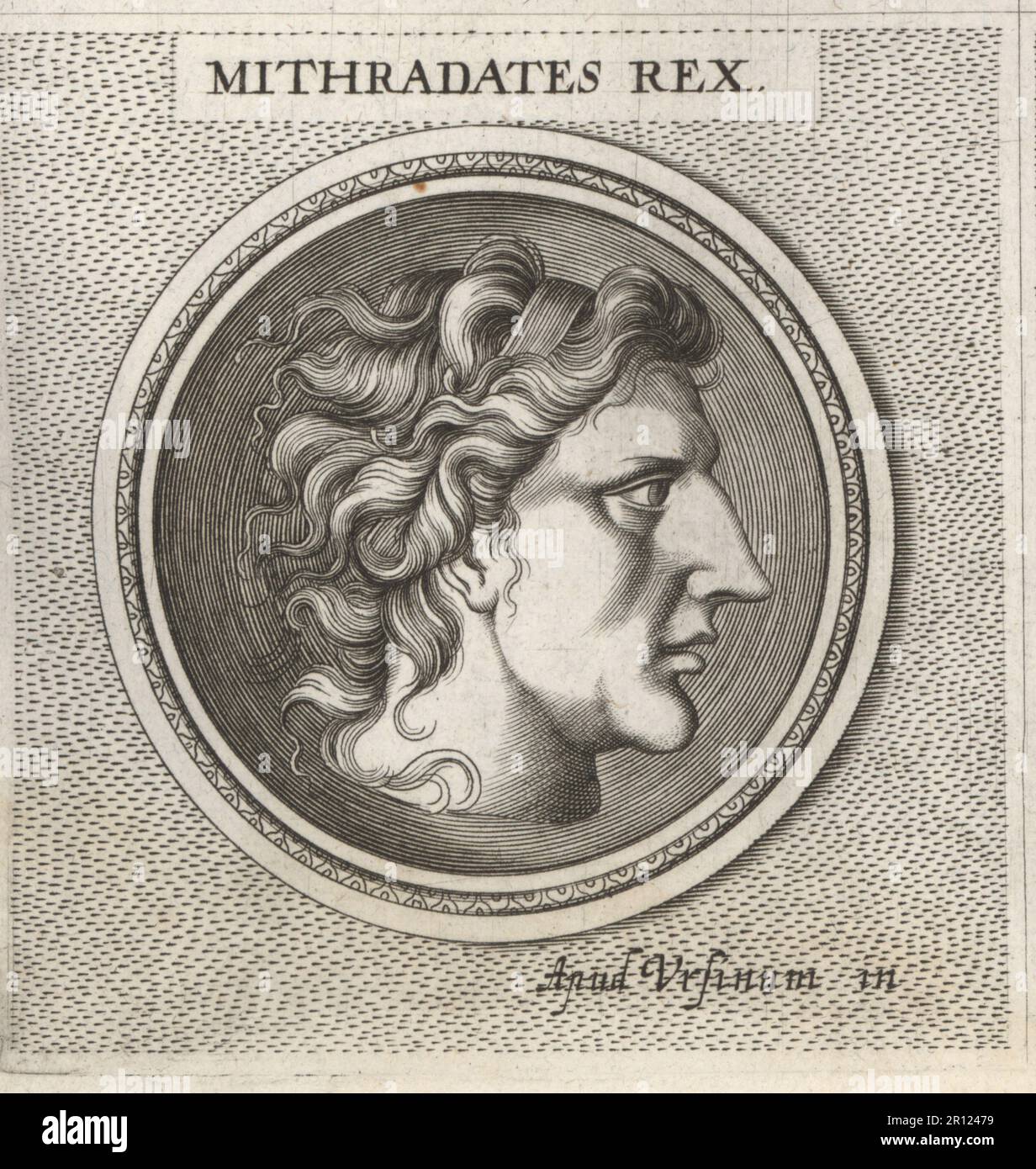 Mithridates rex hi-res stock photography and images - Alamy
