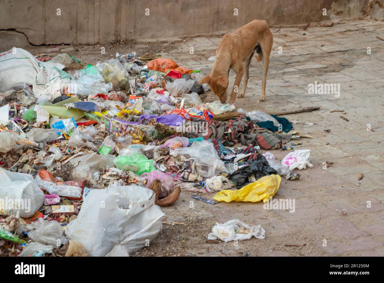 garbage waste items and plastic begs liter in open at day from ...