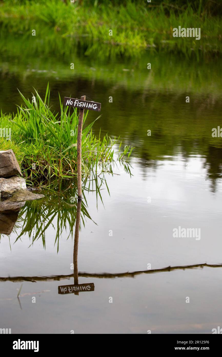 Lush green lake view hi-res stock photography and images - Alamy