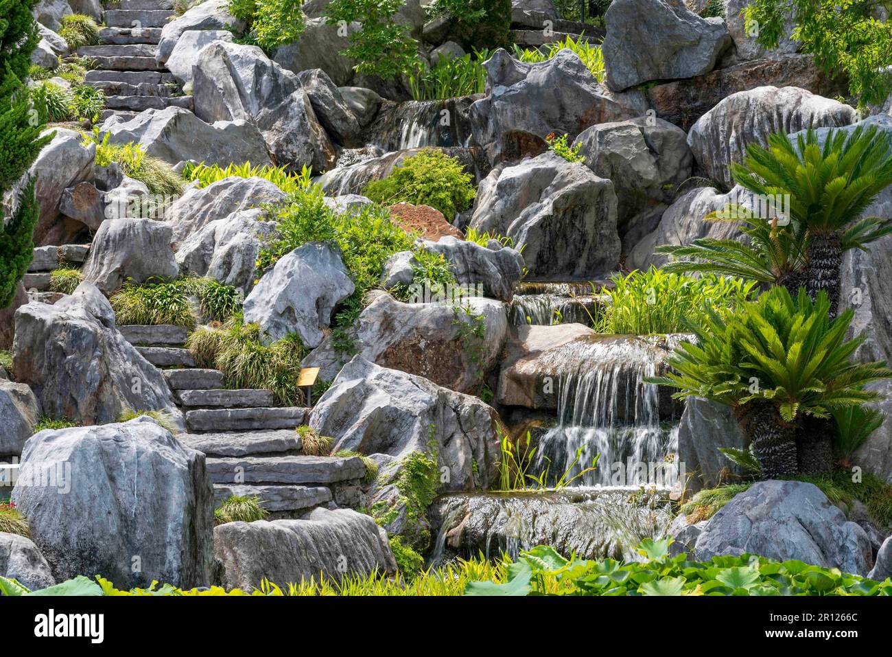 Asian gardens in sydney hi-res stock photography and images - Alamy