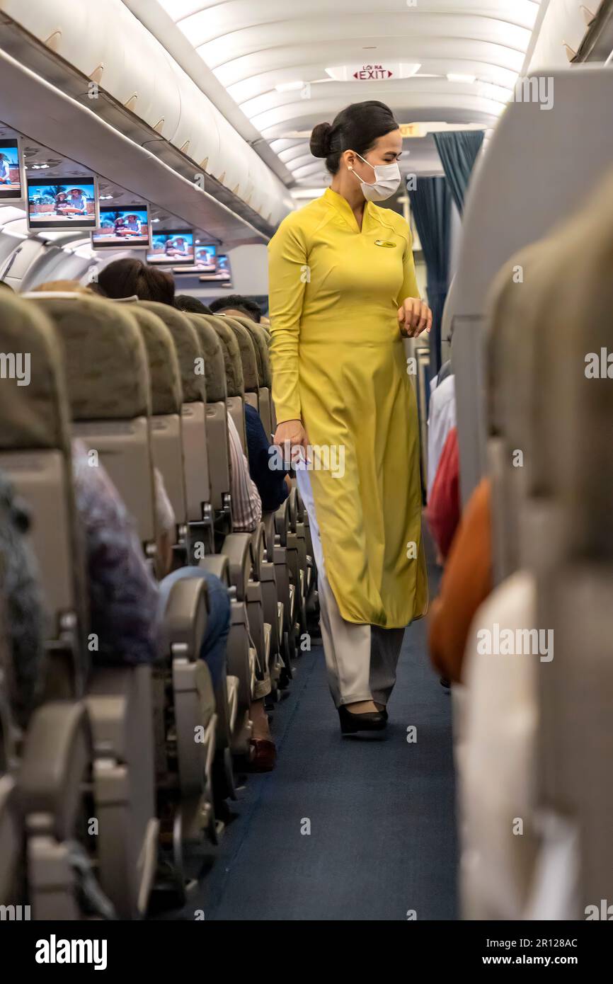 Jet Airways Cabin Crew Dress