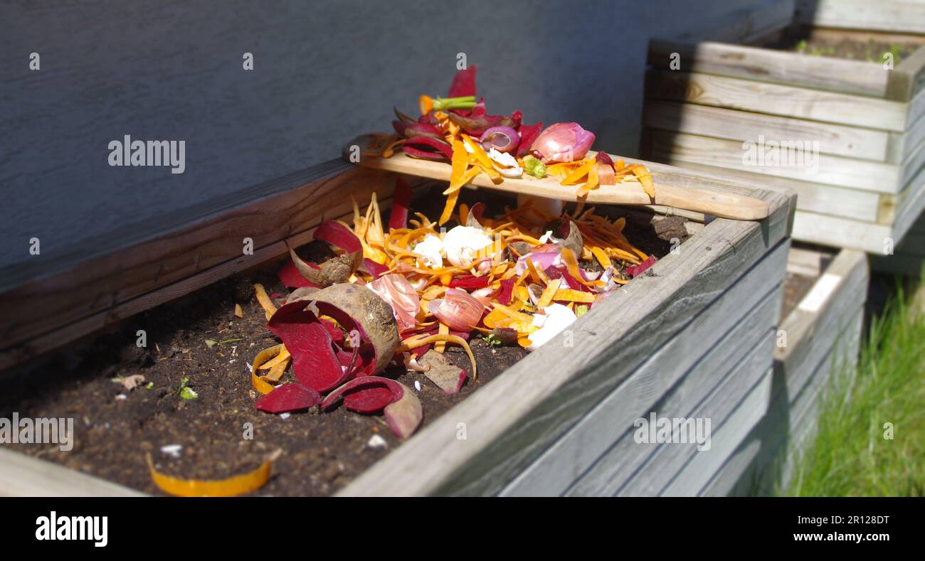 Compost from organic waste. Man throws kitchen vegetable fruit and egg ...