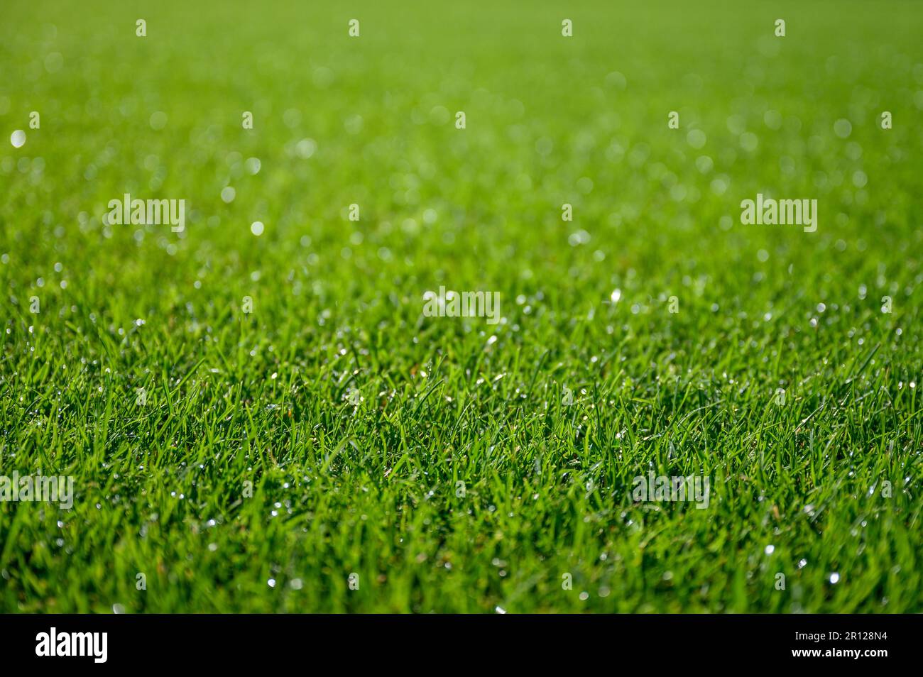 Wet football pitch hi-res stock photography and images - Alamy