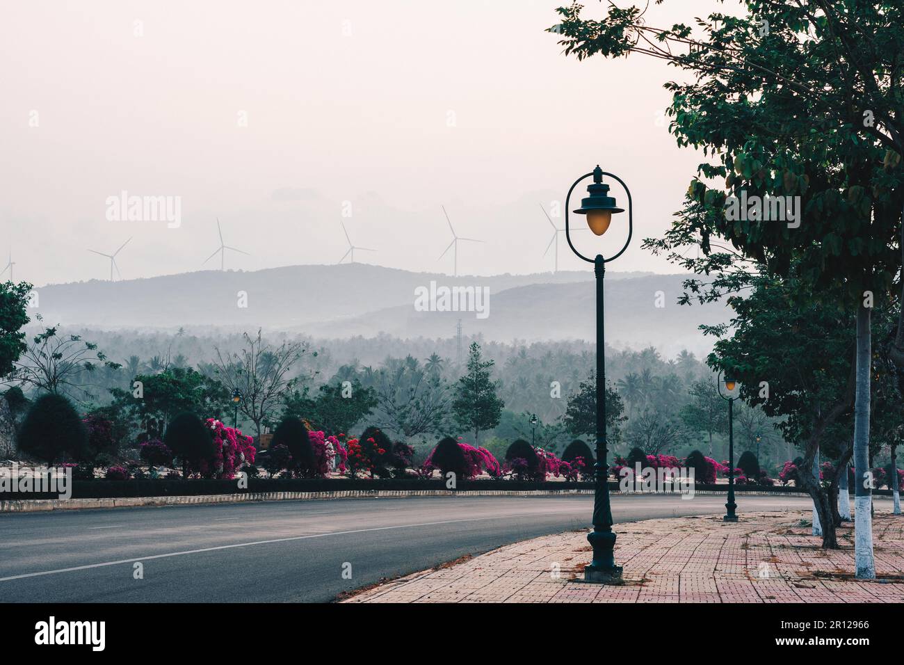 Highway road lamp post early morning fog misty flowers bushes sidepath ...