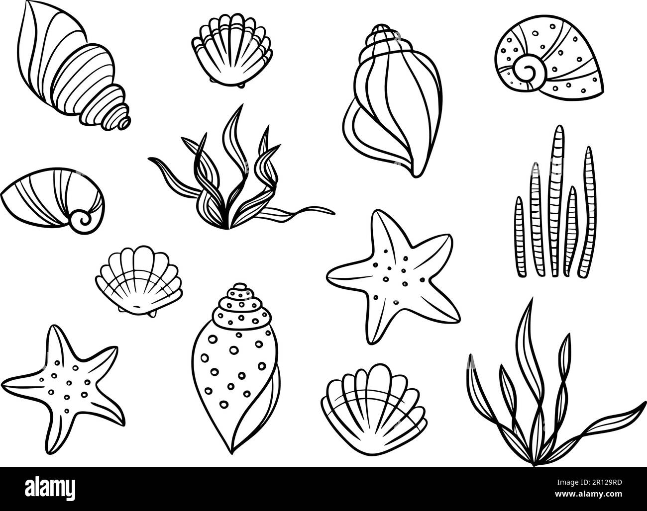Background coral sand shell Black and White Stock Photos & Images - Alamy