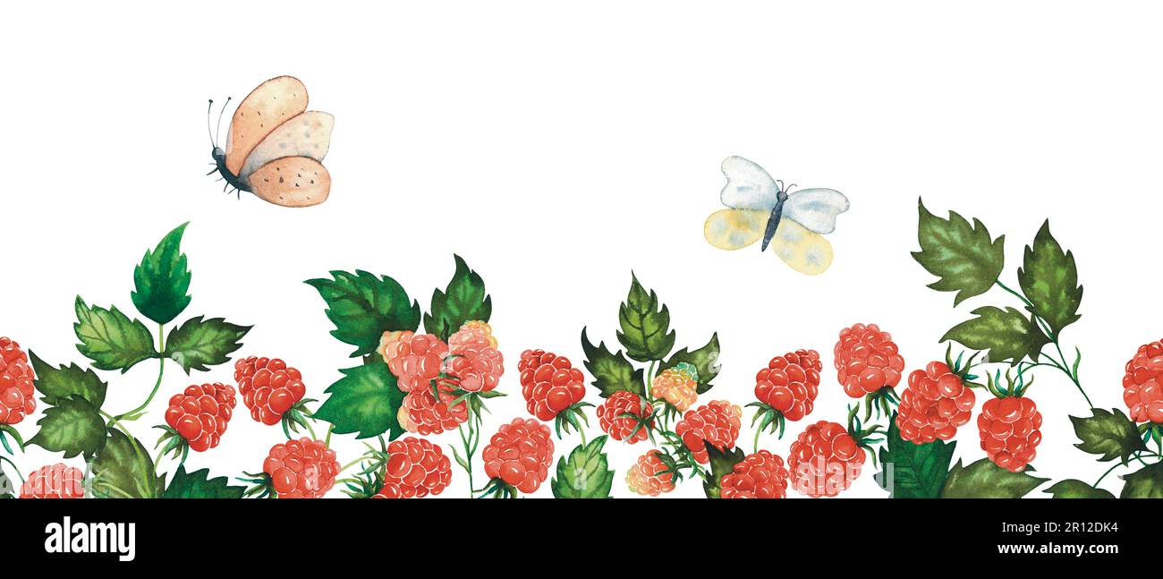 Seamless watercolour raspberry border with berries, leaves and ...