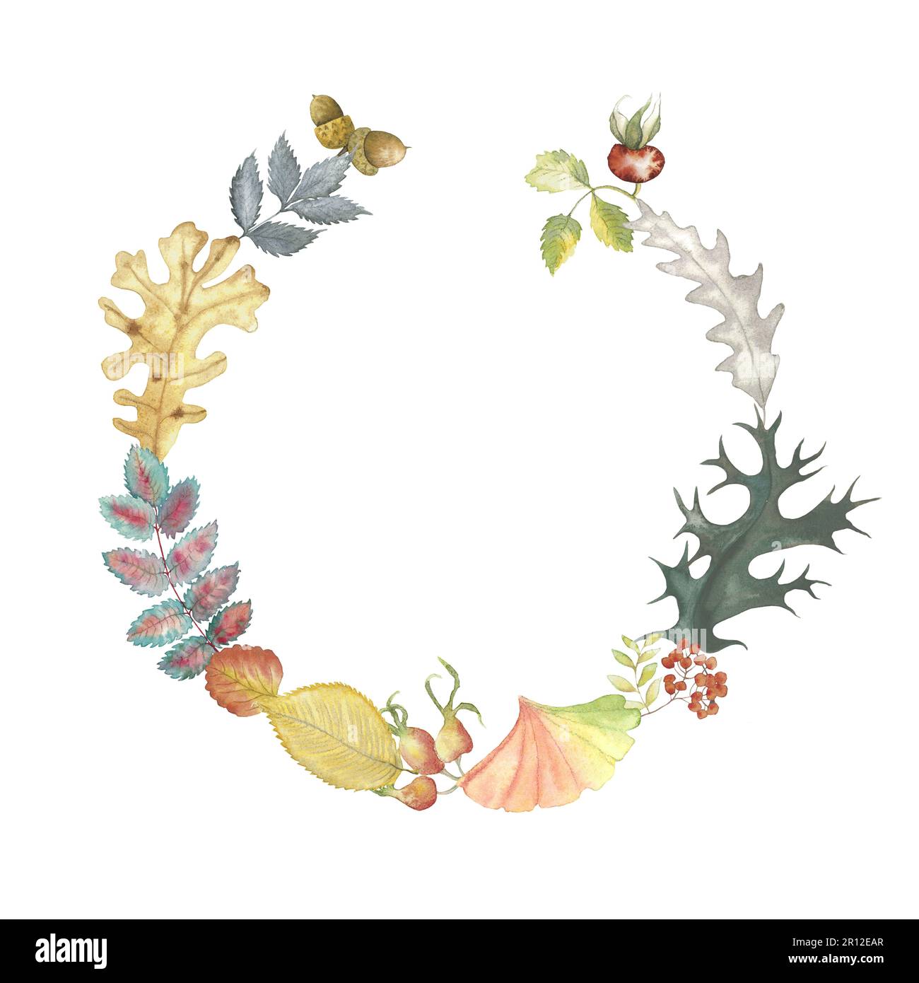 Autumn leaves watercolor wreath round circle with oak tree, rosehip ...