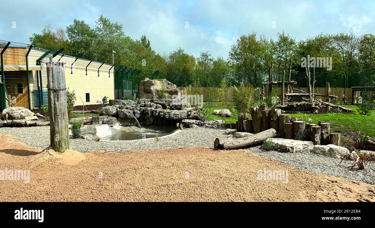 Kharis new enclosure BLACKPOOL ZOO, ENGLAND. EXCLUSIVE IMAGES show the ...
