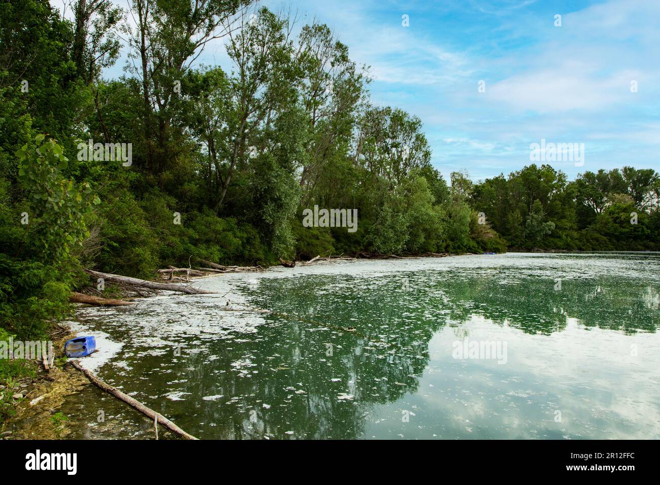 Plastic waste and sewage in polluted lake Stock Photo - Alamy