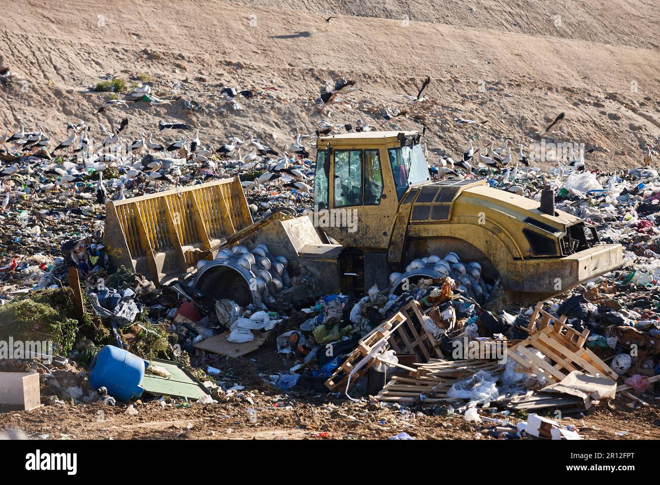 Heavy machinery shredding garbage in an open air landfill. Waste Stock ...