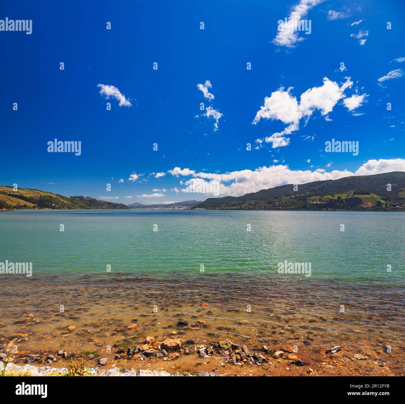 Scenic Otago Harbour coast near Dunedin in South Island of New Zealand ...
