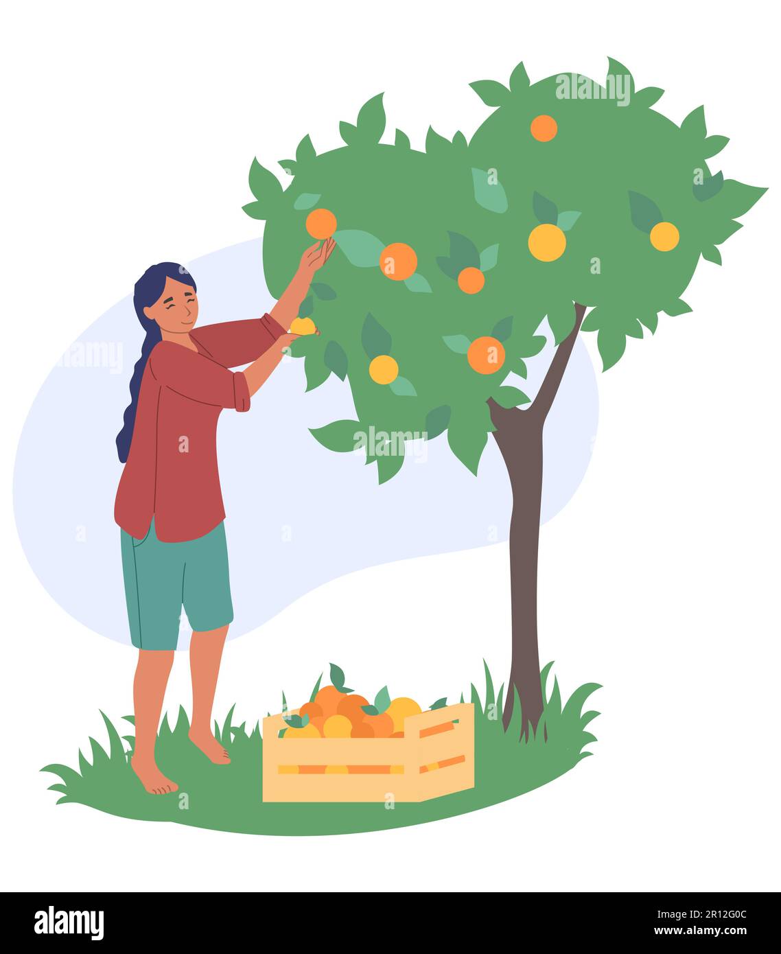Picking your tree Cut Out Stock Images & Pictures - Alamy
