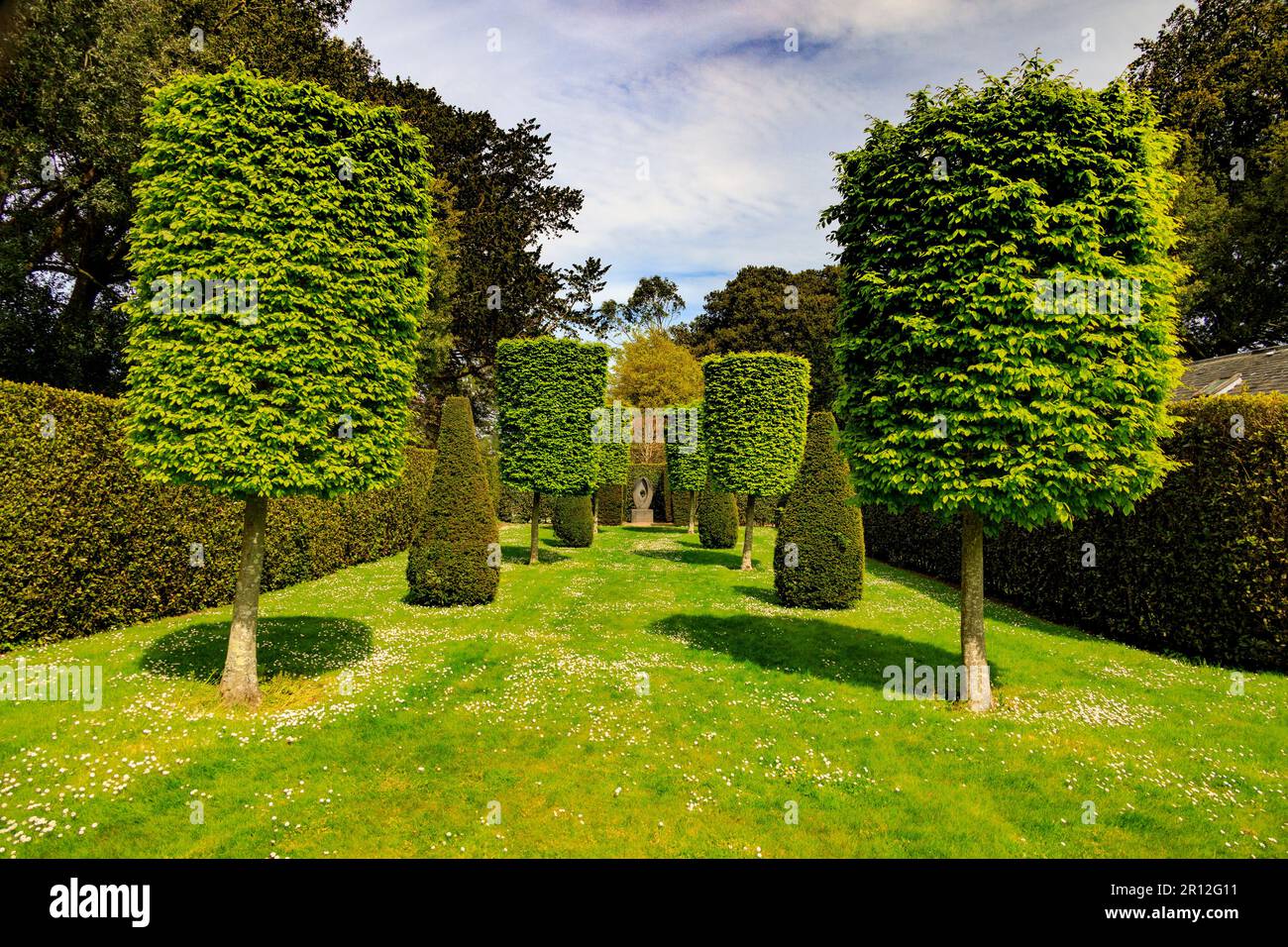 Assorted topiary of clipped yew and hornbeam in the Jubilee Garden at ...