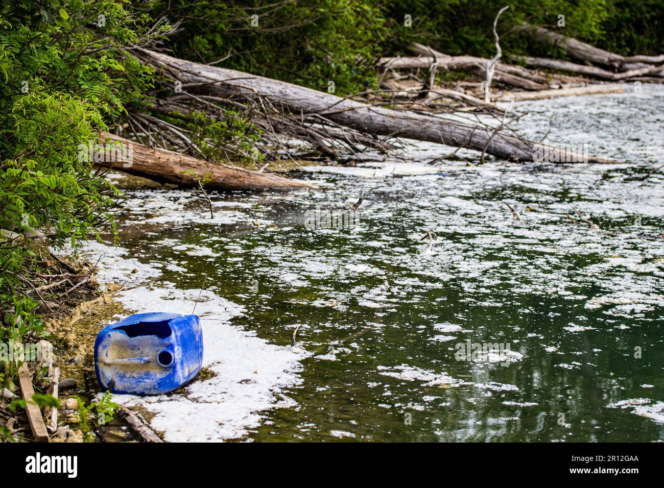 Environmental damage environmental issues water pollution flora hi-res ...