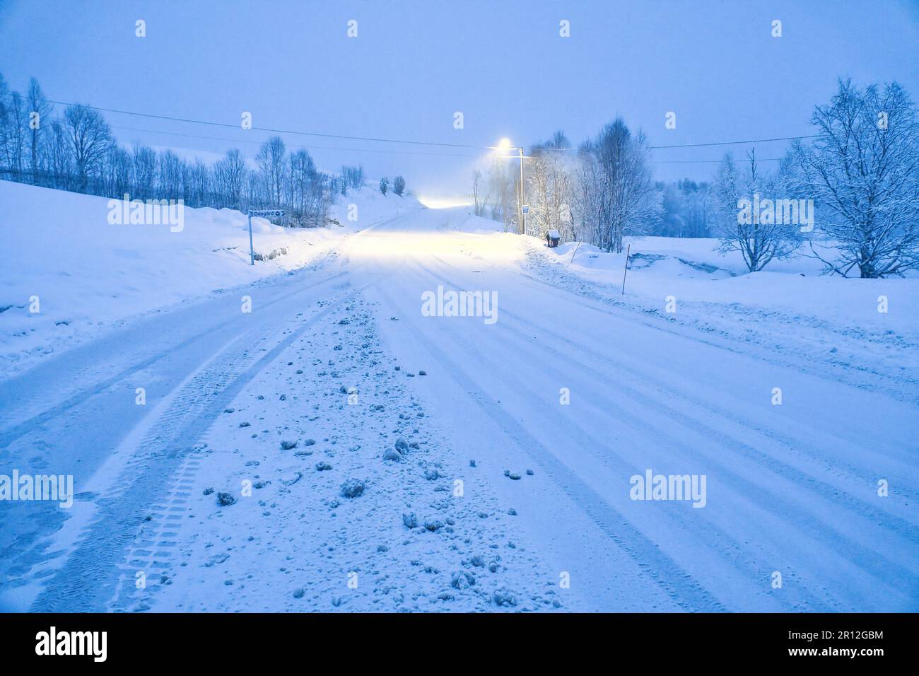Enchanted snowy trees hi-res stock photography and images - Alamy