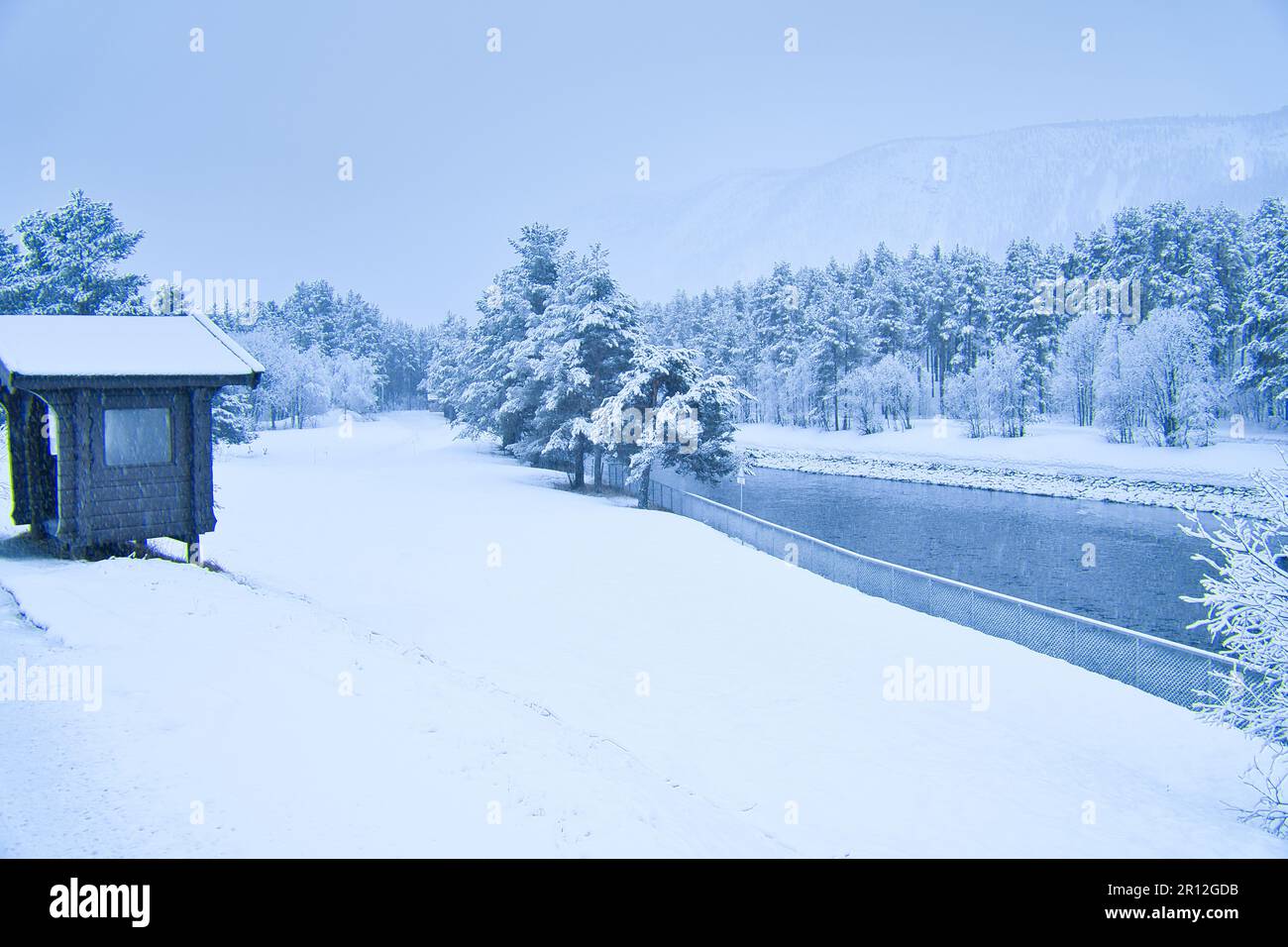 Winter landscape in Scandinavia. With snow covered trees on a road ...