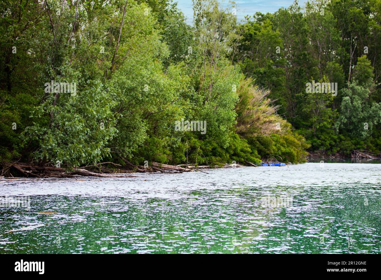 Plastic waste and sewage in polluted lake Stock Photo - Alamy