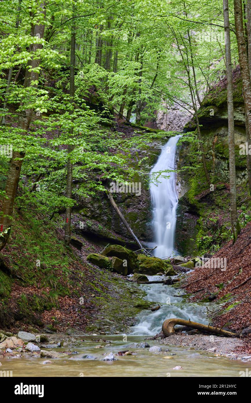 landscape with a mountain waterfall during spring Stock Photo - Alamy