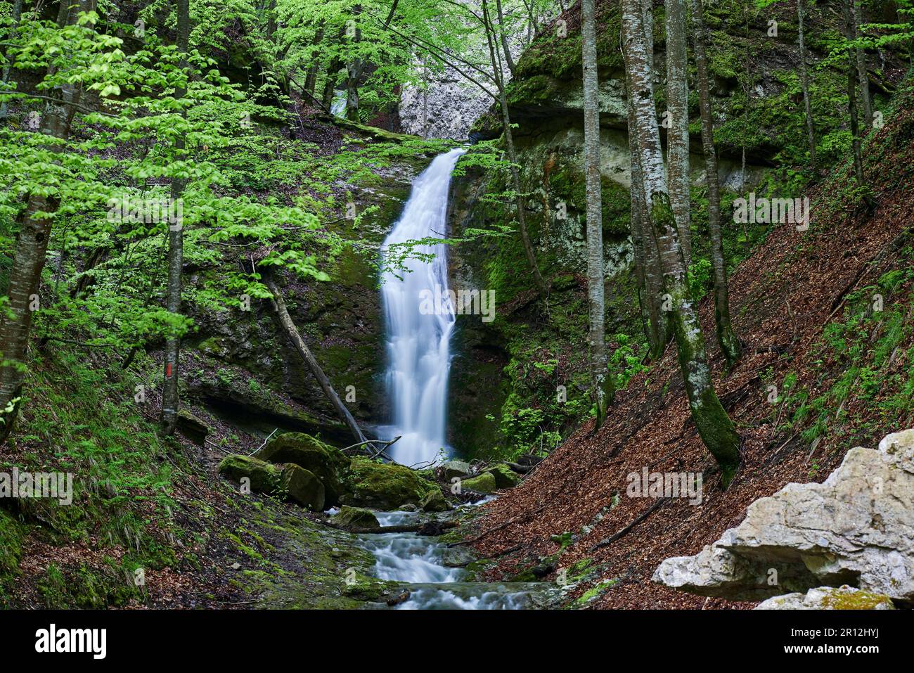 landscape with a mountain waterfall during spring Stock Photo - Alamy