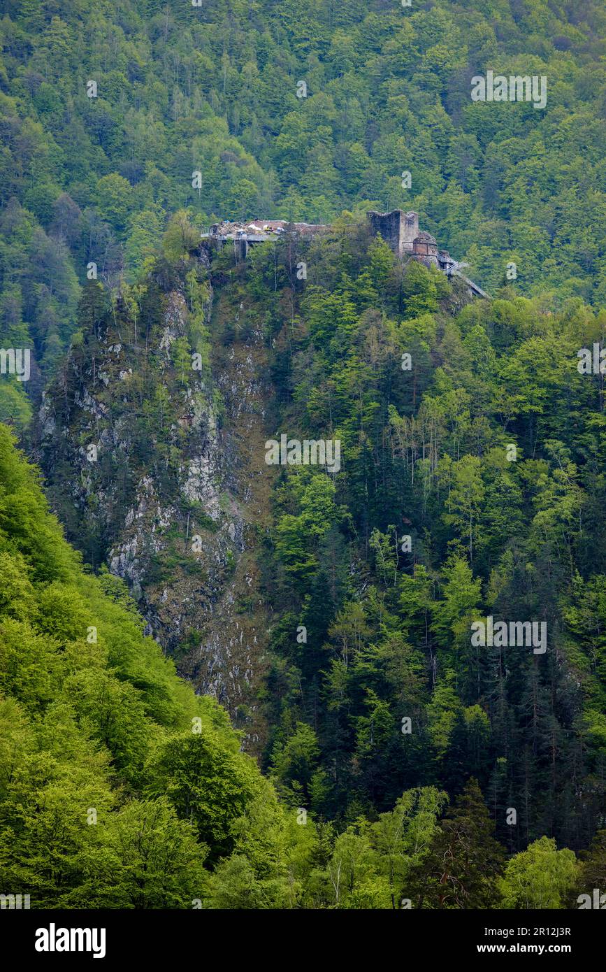 landscape with the medieval fortress Poienari Famous fortress of ...