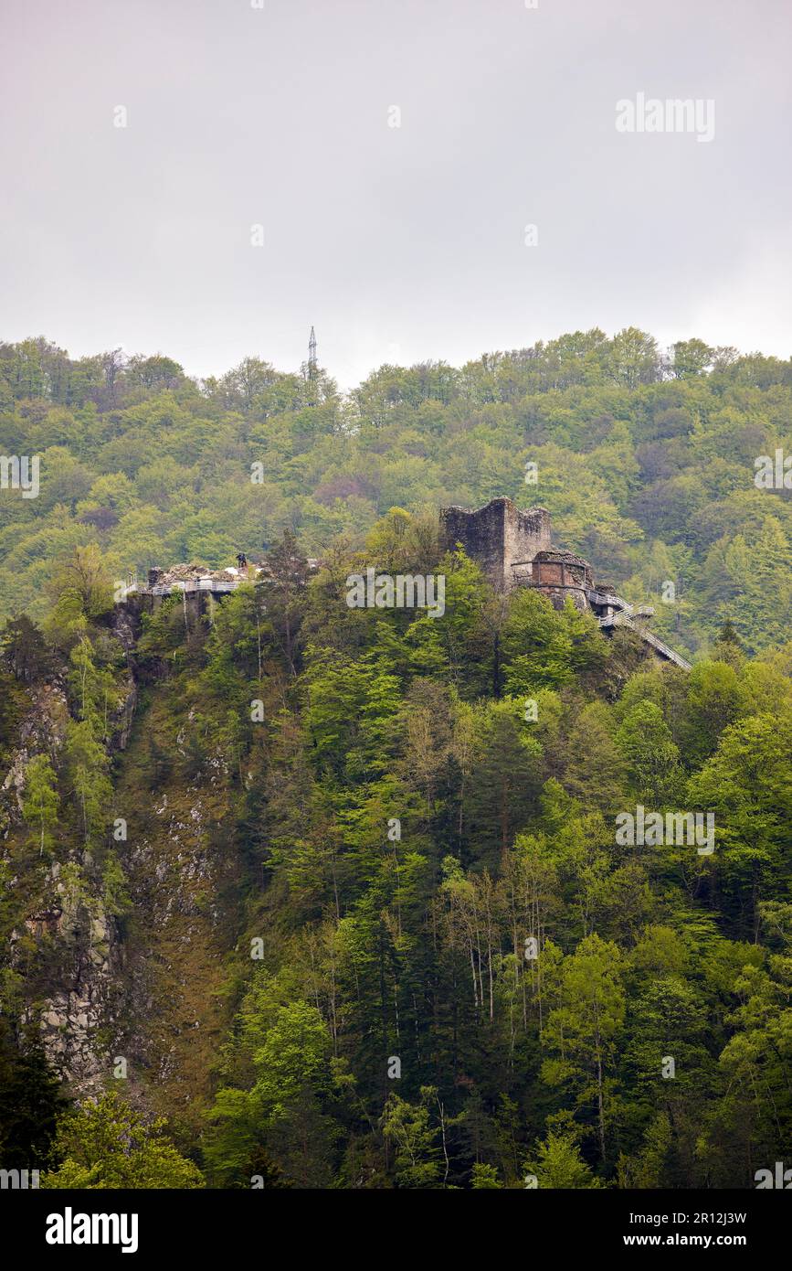landscape with the medieval fortress Poienari Famous fortress of ...