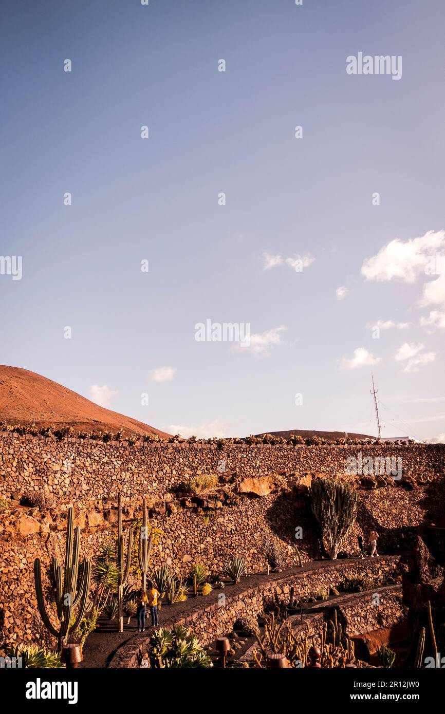 A stunning and untouched desert landscape, featuring a variety of cacti ...